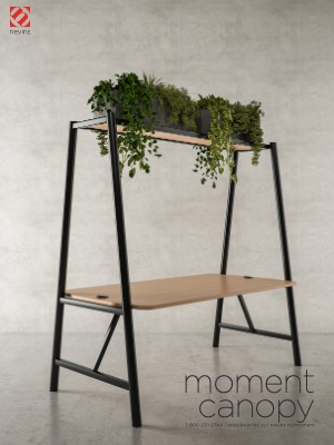 Moment Canopy Brochure Sheet | 1-800-231-2744