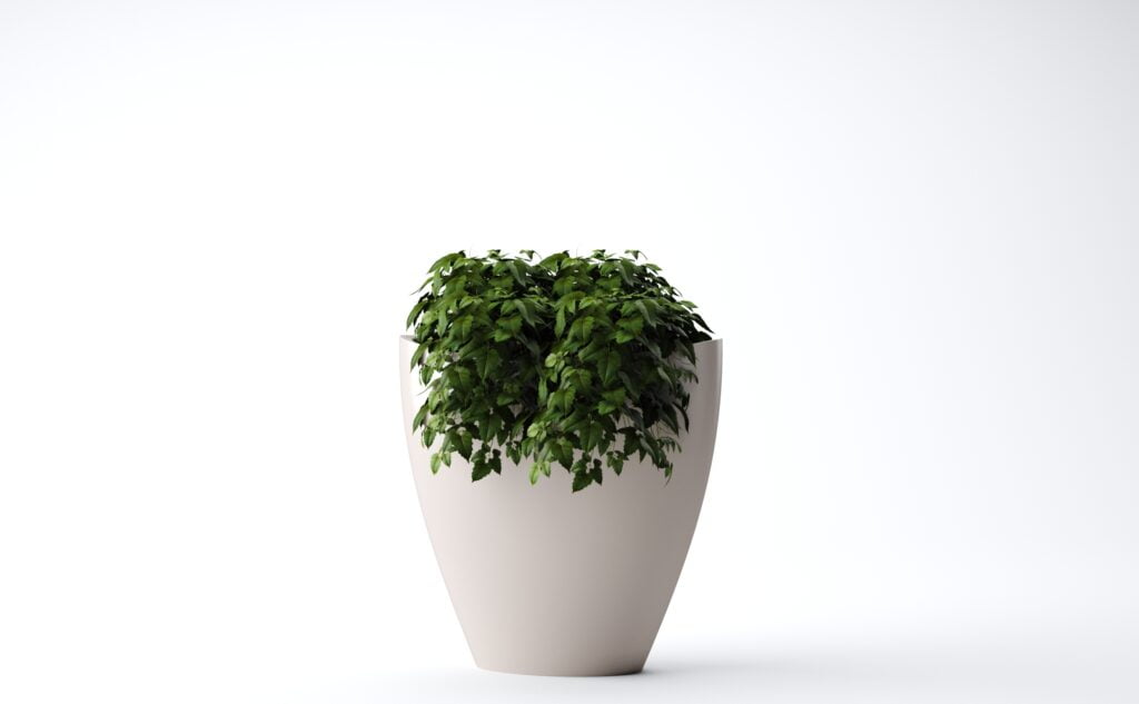 Enhance Spaces with Tisso Planters